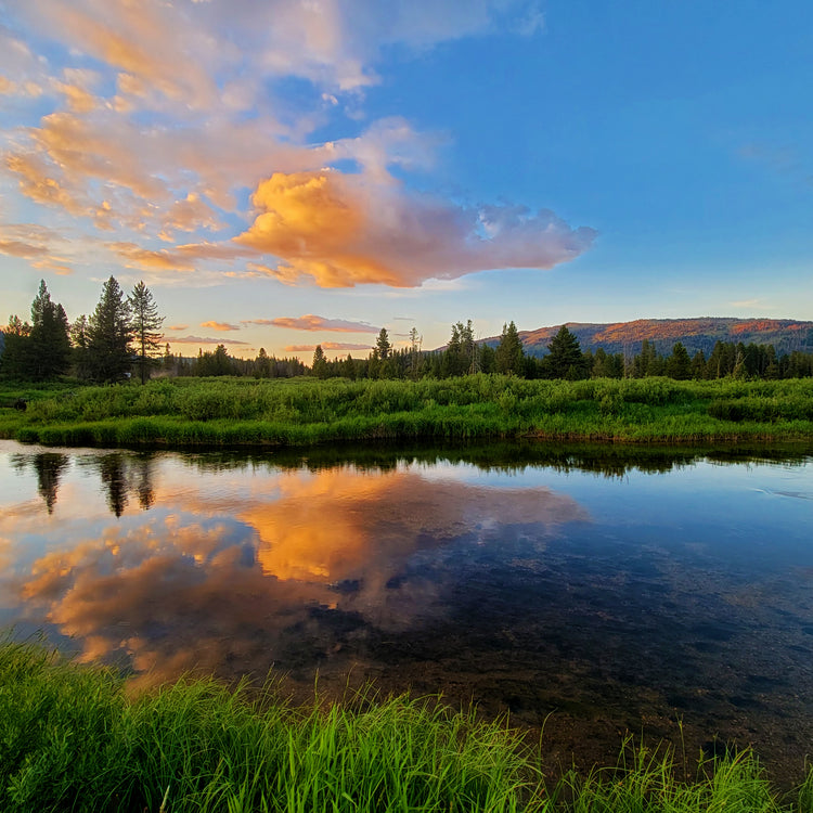 Backwoods Mountain Sports – Webstore